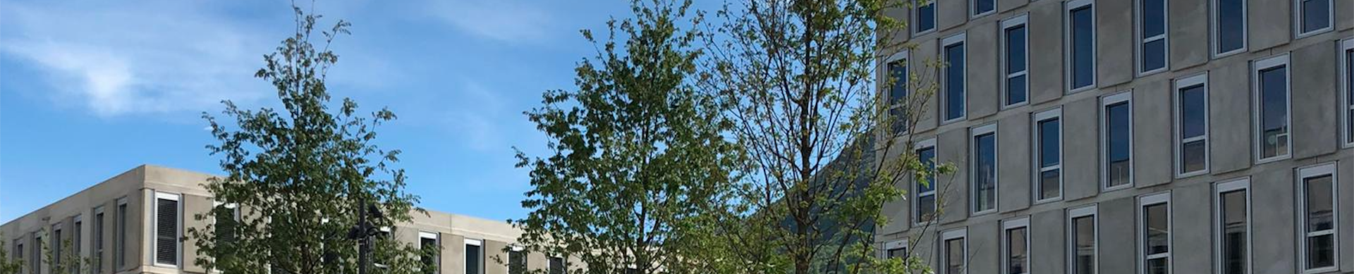 smusi – studenti di medicina dell'USI